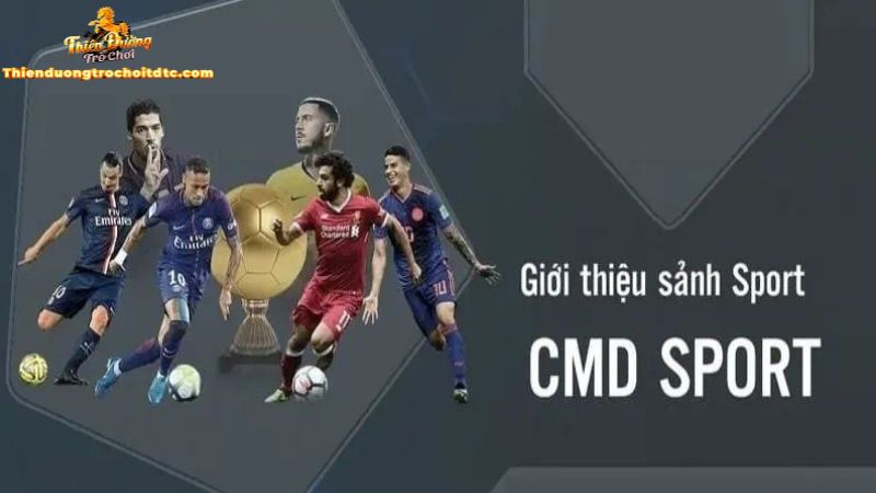 CMD Sports - Sảnh Thể Thao Cực Sôi Động Tại TDTC